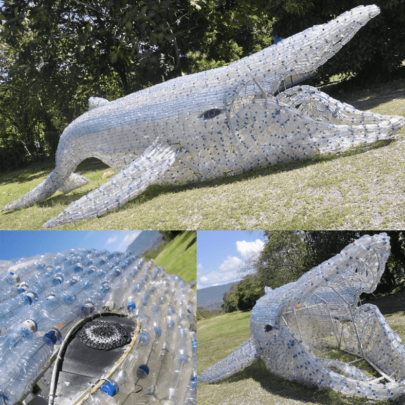 VANN | Ultimate Drinkware | #1 Stainless Steel Drinking Bottle | Reusable